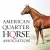 MQHA/AQHA Approved Shows – Welcome to the MQHA