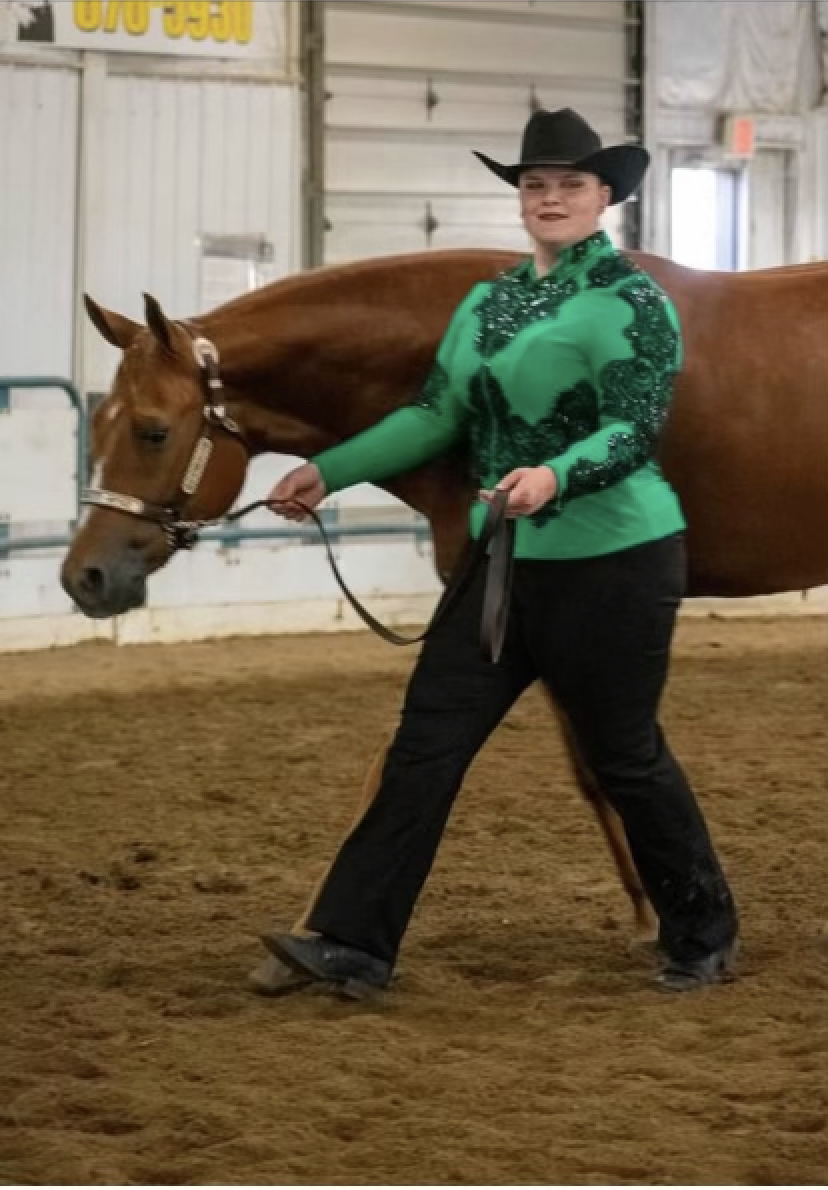 Michigan Quarter Horse Youth Association Board – Welcome to the MQHA